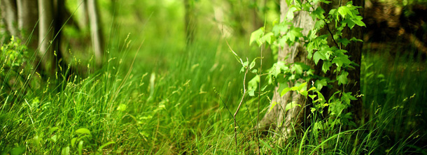 I Am God & God Is Me (Mary Deioma) - The Formula for Creating Heaven on ...